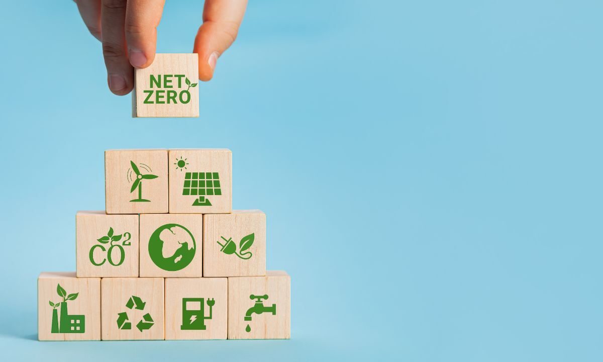 Restoring Confidence: Rebuilding Trust in Carbon Markets for a ...